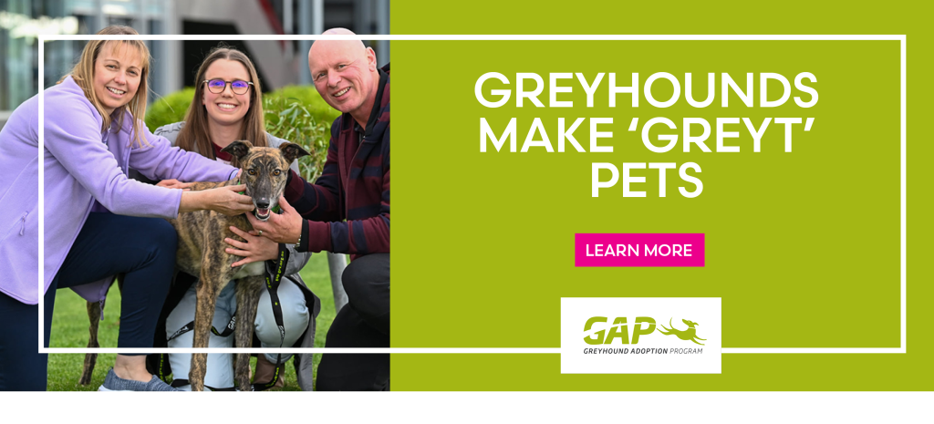 3AW Melbourne - Loud and proud | Melbourne Greyhounds