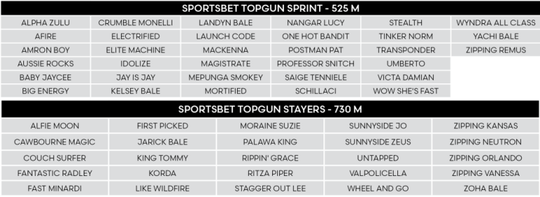 Invitations sent for the 2023 Topgun & Topgun Stayers | Melbourne ...