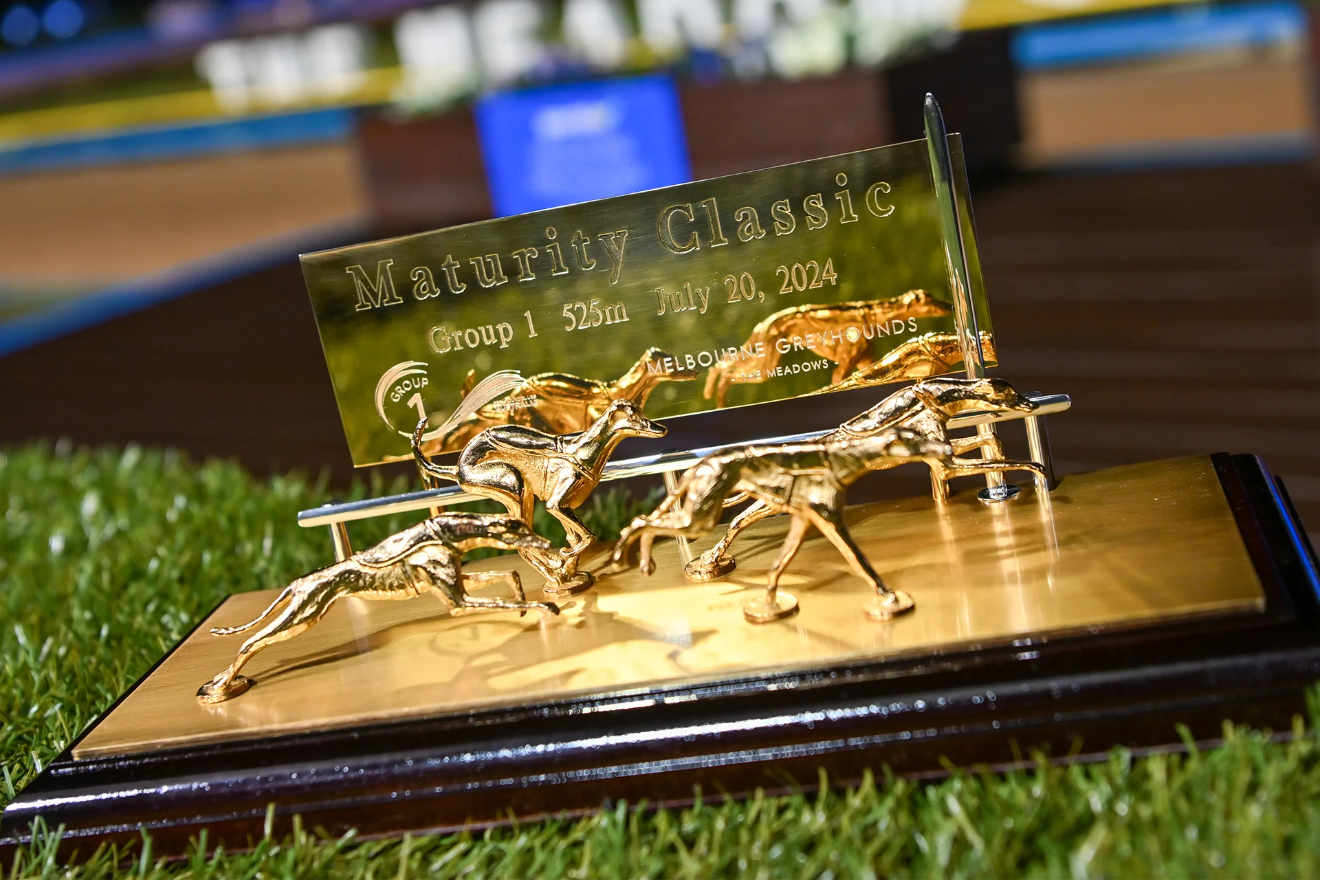 Countdown to a 'Classic' race | Melbourne Greyhounds