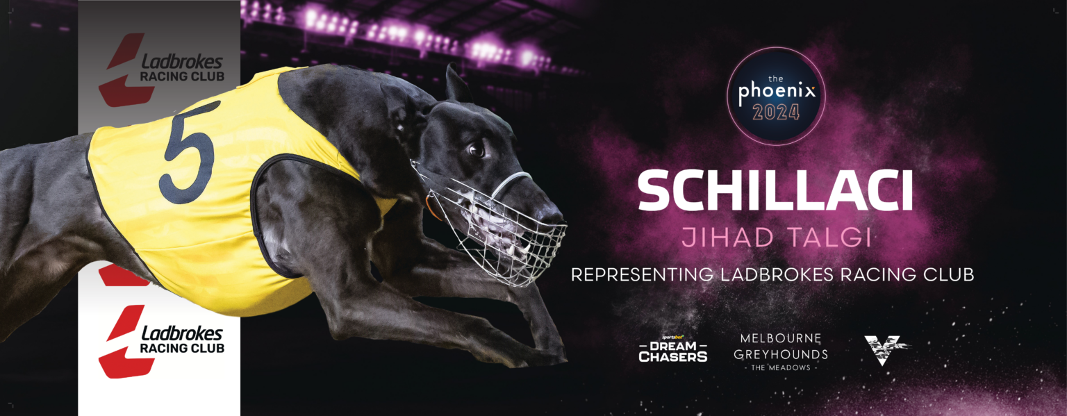 Runner-by-Runner Guide to the G1 Phoenix | Melbourne Greyhounds