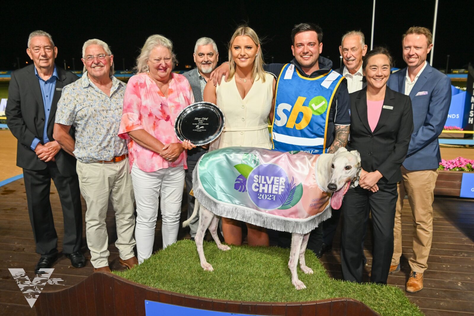 Dream come true in Silver Chief | Melbourne Greyhounds