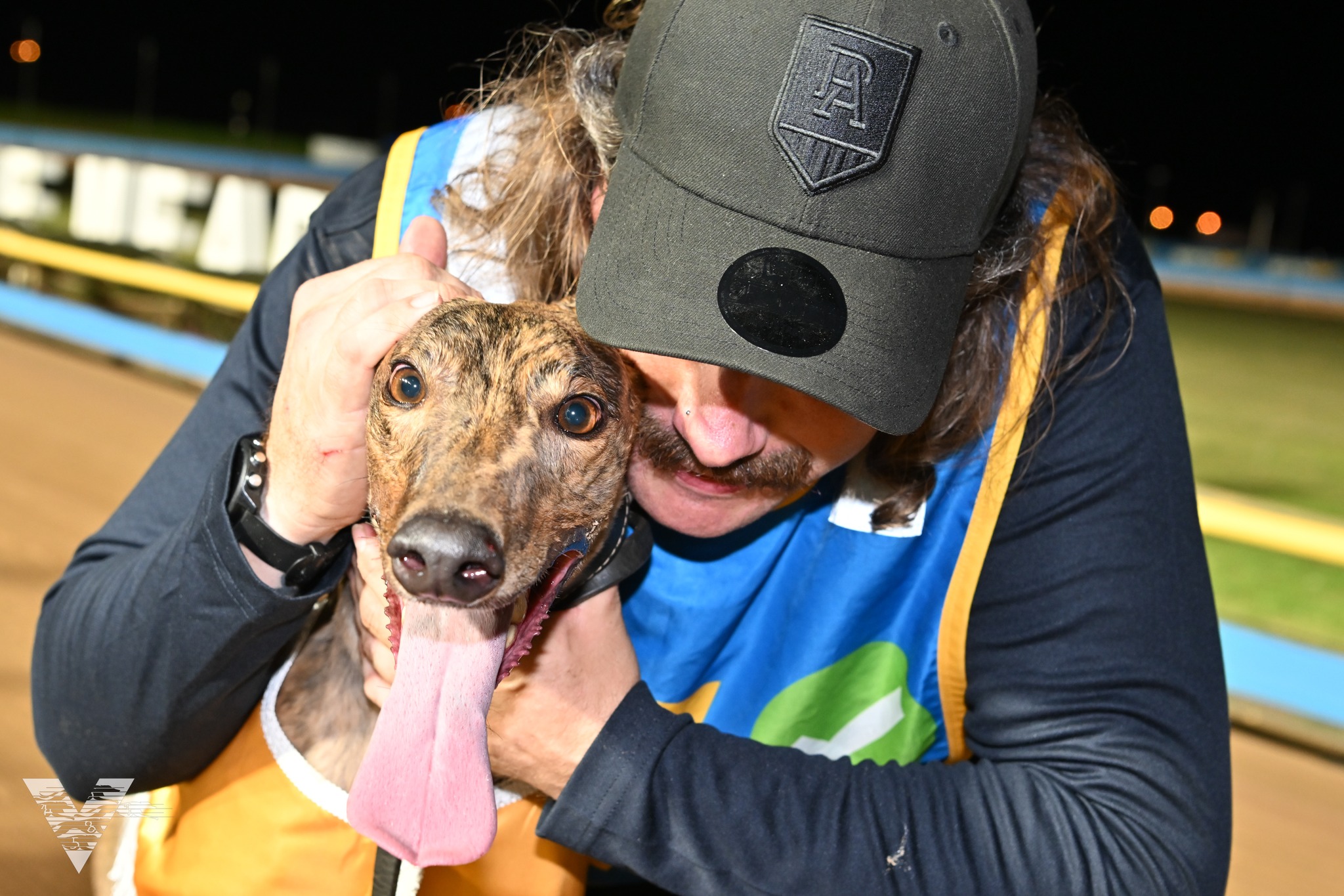 It's Tully's Australian Cup | Melbourne Greyhounds